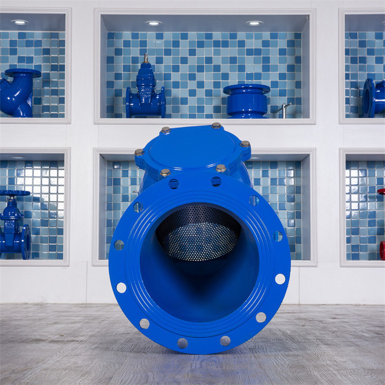 Industrial Pn10 Cast Iron Y Filter DN50 PN16 Stainless Steel Y Strainer