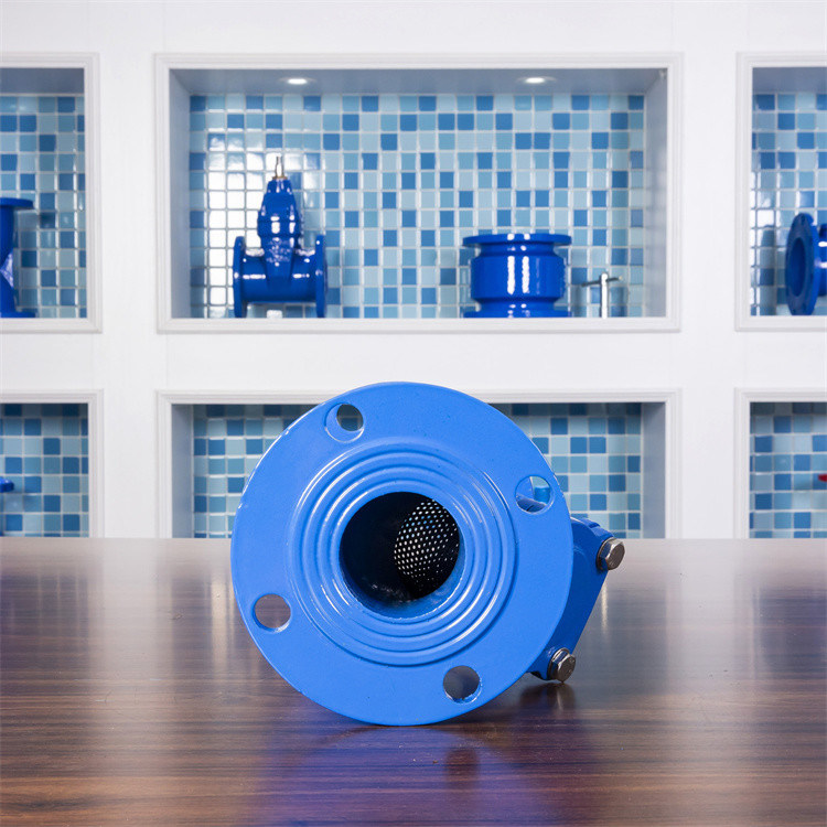 QT450 Flanged Y Type Strainer GGG50 DN600 Industrial Cast Iron Filter