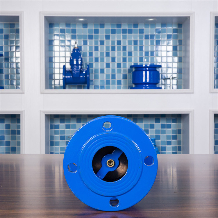 Industrial GGG40 Check Valve Flange Type Silencing DN65 Small Check ...