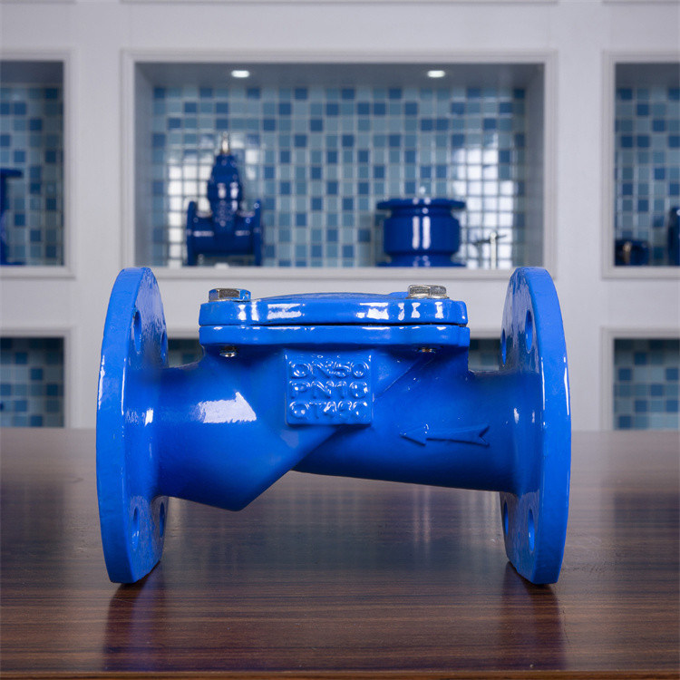 SFCV H44X Soft Seat Check Valve Ductile Iron DN300 Rubber Flap Check Valve QT500-7