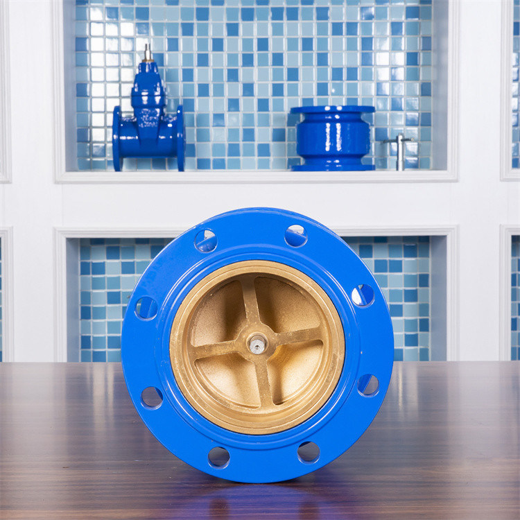 DN50 Water Source Silent Check Valve One Way Flow Backstop Vertical ...