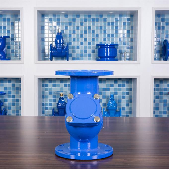 Cast Ductile Iron Y Strainer Stainless DN200 Basket Y Type Water Filter