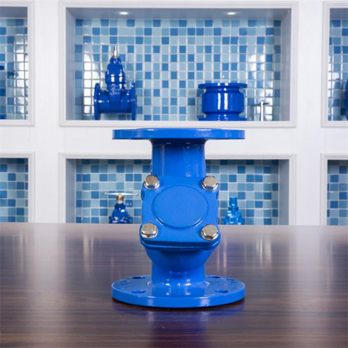 DN50 Flanged Cast Ductile Iron Y Strainer Ggg40 Pn16 DN65 Blue Water